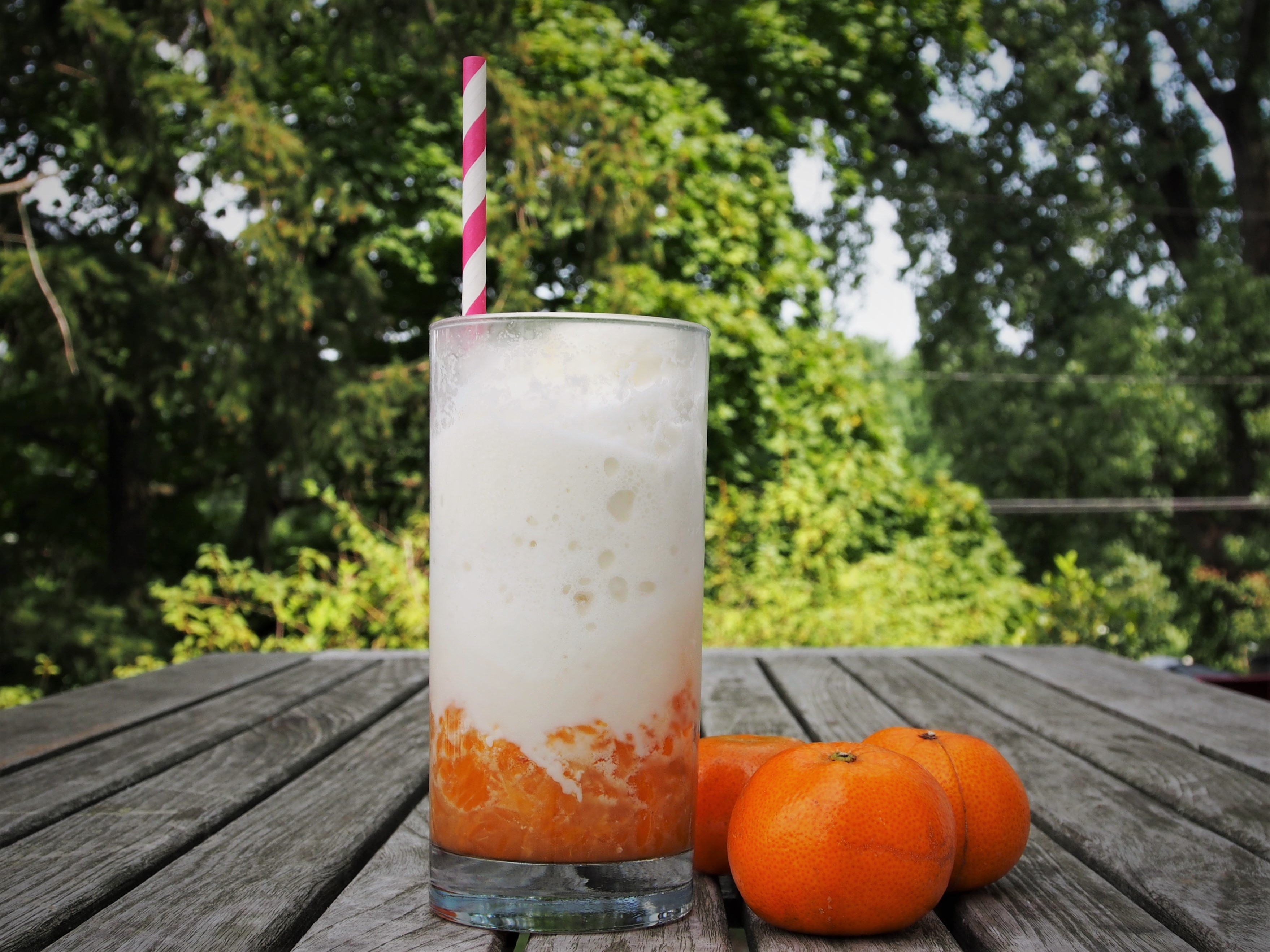ORANGE CREAMSICLE ICE CREAM FLOAT – The Weathered Grey Table