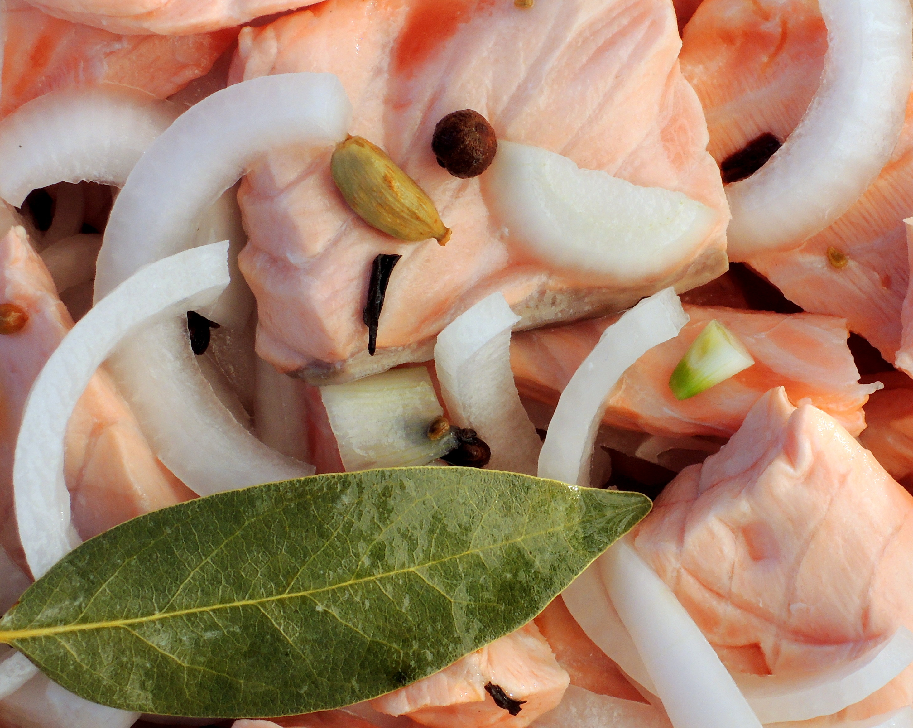 Appetizers, fish, pickled salmon 4 – The Weathered Grey Table